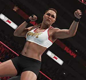 WWE 2K19 - PlayStation 4