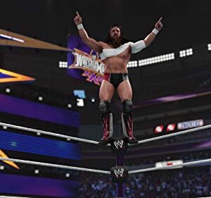 WWE 2K19 - PlayStation 4