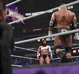 WWE 2K19 - PlayStation 4