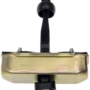 Dorman 924-169 Front Door Check Front Left Or Right Compatible with Select Ford / Lincoln Models