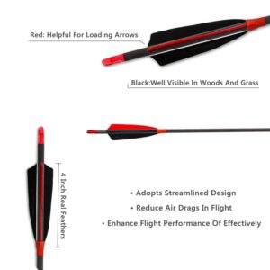 Letszhu Carbon Archery Arrows 500 Spine with Real Feathers for Compound Recurve Bow (12 Pack) (31 Inch Arrows)