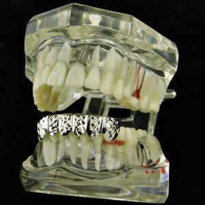 Grillz Diamond-Cut Grill Bottom Lower Six Teeth Silver Tone Hip Hop Grills