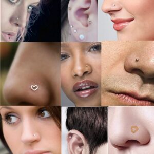 Tornito 20G 16Pcs Stainless Steel L Shaped Nose Ring CZ Nose Stud Retainer Labret Nose Piercing Jewelry (A1:16Pcs)