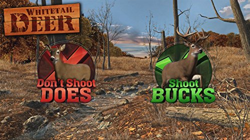 Big Buck Hunter Arcade (Nintendo Switch)