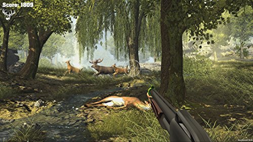 Big Buck Hunter Arcade (Nintendo Switch)