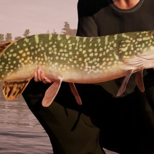 Fishing Sim World - Xbox One