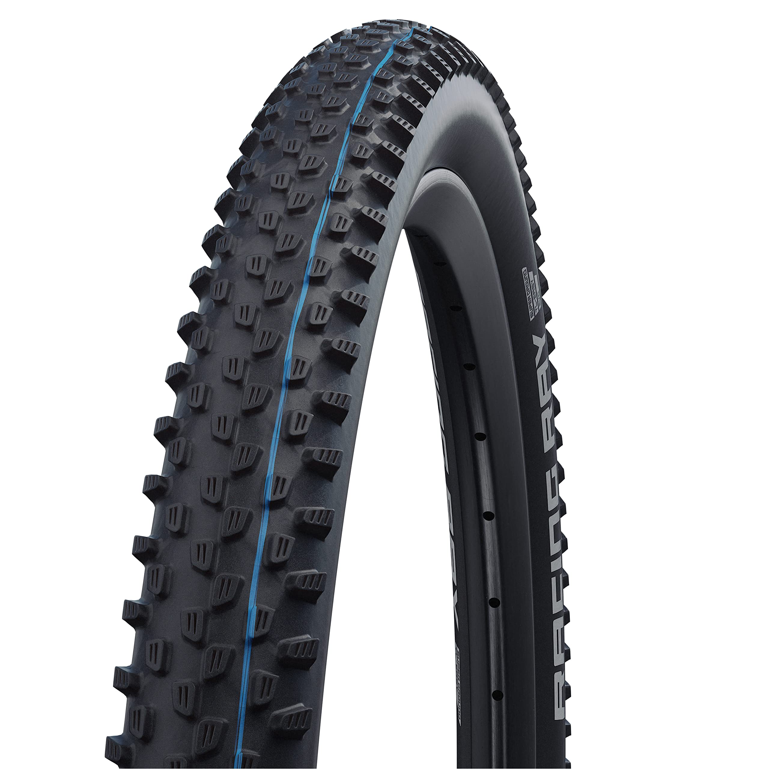 Schwalbe Racing Ray Tire - 27.5 x 2.25, Tubeless, Folding, Black, Evolution Line, SnakeSkin, Addix Speedgrip