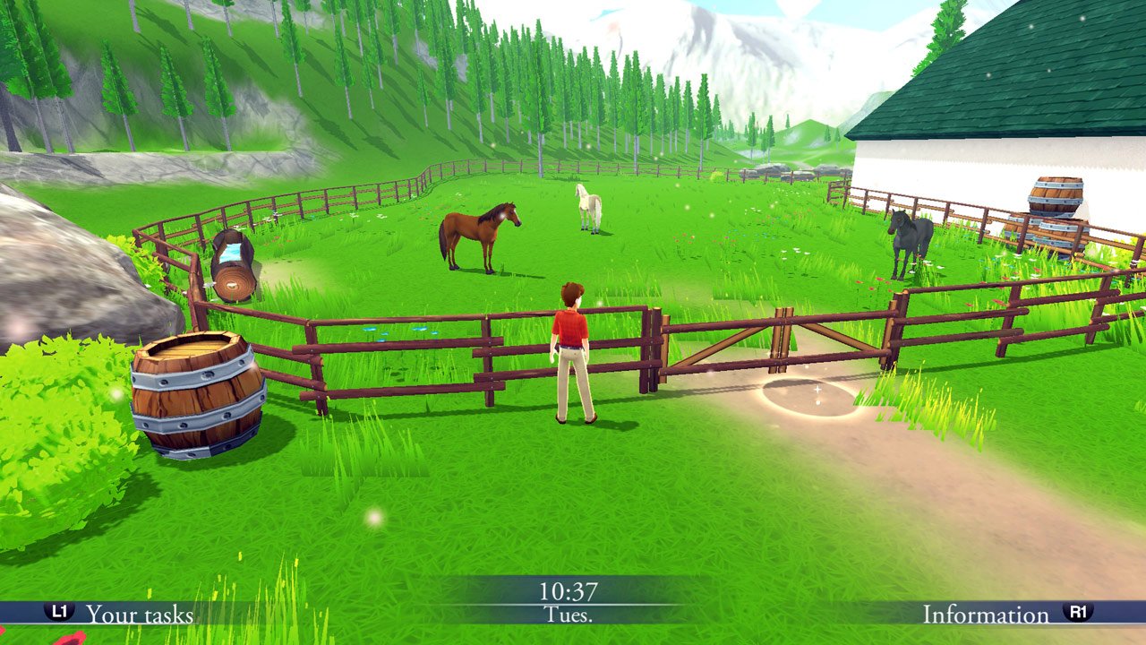 My Riding Stables - Life with Horses - PlayStation 4