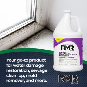 RMR-141 Mold and Mildew Killer, Kills 99% of Household Bacteria and Viruses, Cleans and Disinfects, EPA Registered, 1 Gallon Bottle