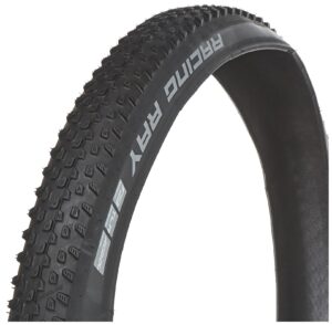 schwalbe racing ray tire - 29 x 2.25, tubeless, folding, black, performance line, twinskin, addix