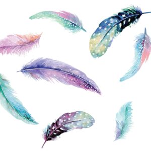 WallPops DWPK2462 Celestial Feathers Wall Art Kit, Multicolor