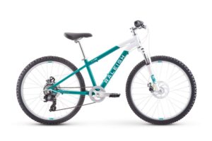 raleigh bikes eva 24 kids hardtail mountain bike for girls youth 8-12 years old, teal