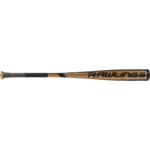 Rawlings 2019 Velo BBCOR Adult Baseball Bat (-3), 32 inch / 29 oz