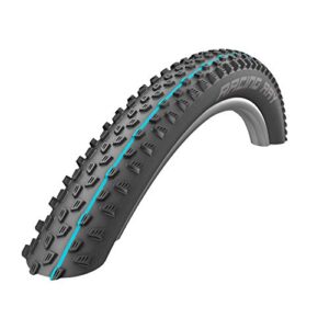 schwalbe racing ray tire - 29 x 2.1, tubeless, folding, black, evolutionline, snakeskin, addix speedgrip