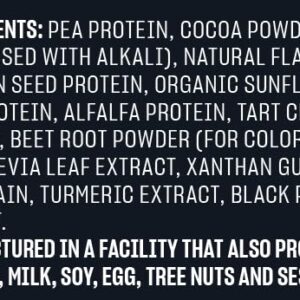 Vega Sport Protein Powder Chocolate (14 servings, 21.7 oz) - Plant-Based Vegan Protein Powder, BCAAs, Amino Acid, tart cherry, Non Dairy, Gluten Free, Non GMO (Packaging May Vary)