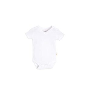 burt's bees baby unisex baby bodysuit, short long sleeve one piece lap shoulder bodysuits, 100% organic cotton