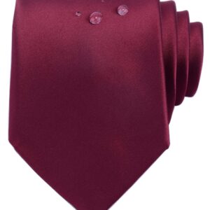 GUSLESON Solid Burgundy Tie Satin Maroon Necktie Wedding Wine Ties for Men Waterproof material (0766-01)