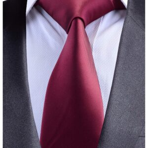 GUSLESON Solid Burgundy Tie Satin Maroon Necktie Wedding Wine Ties for Men Waterproof material (0766-01)