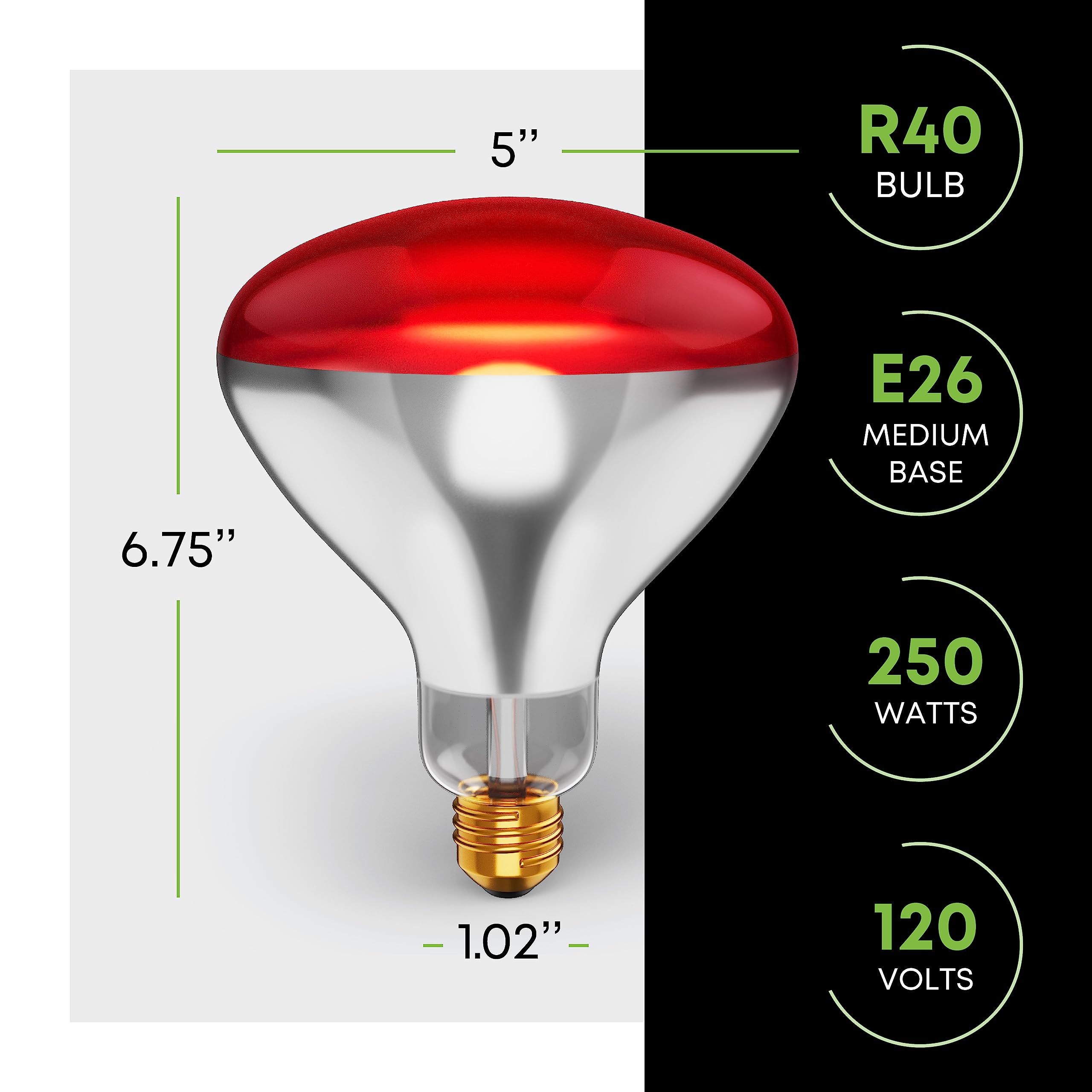 250 W att R40 Incandescent Light Bulbs (2-Pack) - Bathroom Infrared Heat Lamp for Chickens Chicks Puppies Reptiles Livestock Poultry , Sauna Red Light Therapy Bulb | 2,000 Hour Rated, E26 Base, 120V