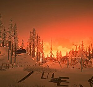 The Long Dark - PlayStation 4