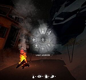 The Long Dark - PlayStation 4