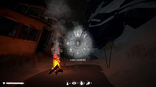 The Long Dark - PlayStation 4