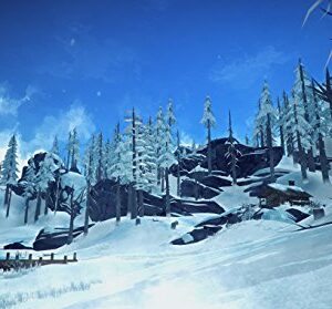 The Long Dark - PlayStation 4