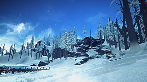 The Long Dark - PlayStation 4