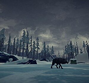 The Long Dark - PlayStation 4