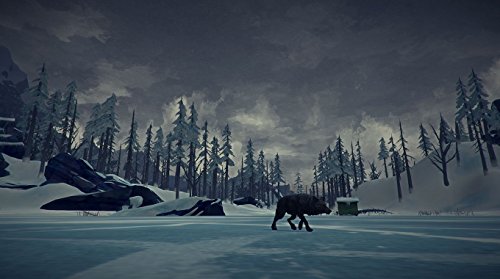 The Long Dark - PlayStation 4