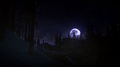 The Long Dark - PlayStation 4