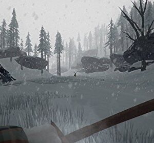 The Long Dark - PlayStation 4