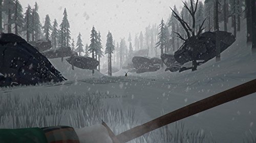 The Long Dark - PlayStation 4