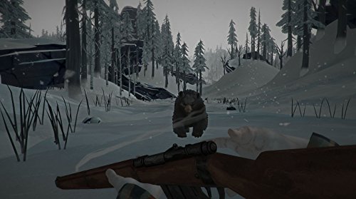 The Long Dark - PlayStation 4