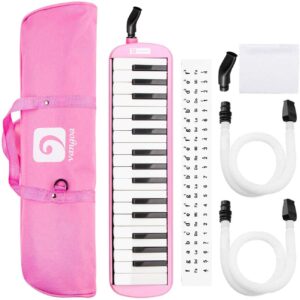 Vangoa 32 Key Melodica, Musical Instrument Air Piano Keyboard, Melodicas with Carrying Bag, Double Mouthpieces, Wipe Cloth, Key Stickers, Long Tubes (Pink)