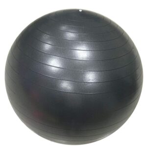 RevTime Ultra Thick Anti-Burst Gym Ball 65 cm with Air Pump Exercise Ball Great for Yoga, Balance, Fitness, Desk Chairs, Dark Gray