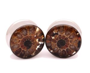 mystic metals body jewelry embedded real ammonite fossil plugs - sold as a pair (1-1/4" (32mm))