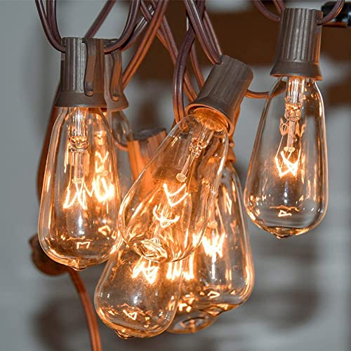 Abeja 10-Pack Edison Light Bulbs, ST40 Clear Edison Light Bulbs, 7 Watt/ E17 Screw Base ST40 Vintage Replacement Light Bulbs for Outdoor Patio ST40 String Lights, Warm White