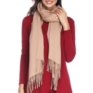 HOYAYO Pashmina Shawls and Wraps Winter Warm Soft Scarf for Women