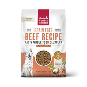 the honest kitchen whole food clusters grain free beef dry dog food, 20 lb bag