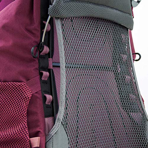 Osprey Renn 65L Women's Backpacking Backpack, Aurora Purple