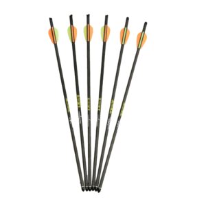 sas troy crossbow carbon bolts 20" arrows with points and 2" vanes - 6/pack