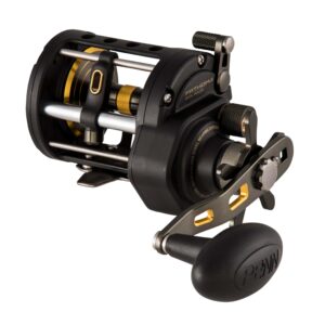 penn fthii20lwlh spinning rod & reel combos, black gold