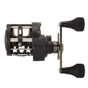 Penn FTHII20LWLH Spinning Rod & Reel Combos, Black Gold