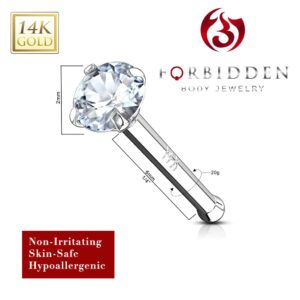 Forbidden Body Jewelry 14k White Gold Nose Ring, 20g, Solid 6mm Stud, 2mm CZ Simulated Diamond, Non-Irritating Skin Safe Real Gold, Women and Men