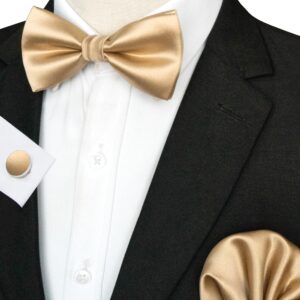 JEMYGINS Mens Gold Pre-tied Bow Tie and Pocket Square Cufflink Set (9)