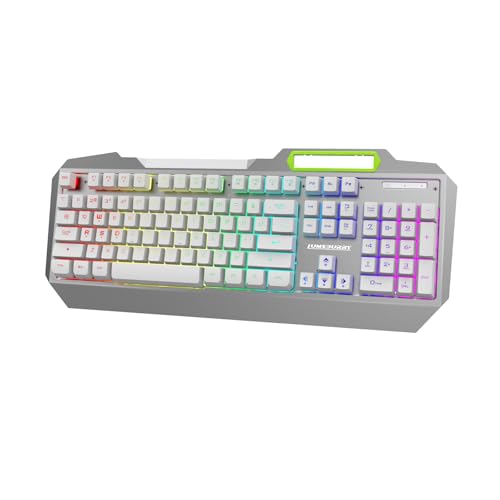 Lumsburry RGB LED Backlit Gaming Keyboard with Anti-ghosting, Light up Keys Multimedia Control, USB Wired 104 Keys Metal Keyboard for PC Games Office (Silver&White)