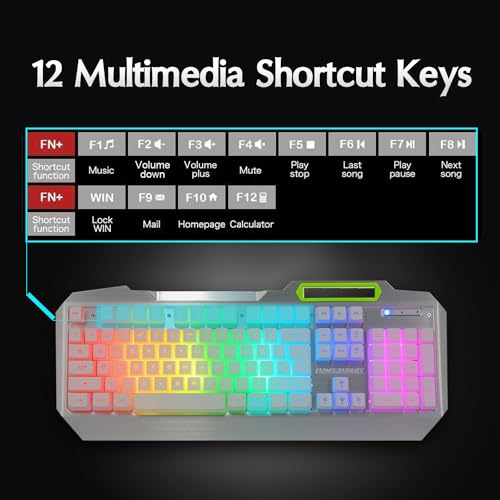 Lumsburry RGB LED Backlit Gaming Keyboard with Anti-ghosting, Light up Keys Multimedia Control, USB Wired 104 Keys Metal Keyboard for PC Games Office (Silver&White)