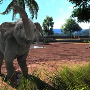 Zoo Tycoon: Ultimate Animal Collection - PC