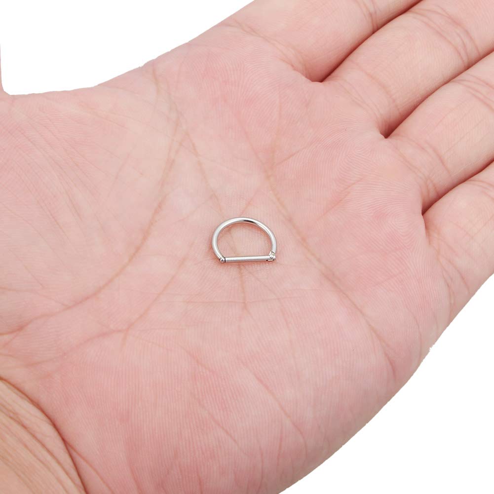 Ruifan 1PC 316L Stainless Steel D Shaped Hinged Seamless Segment Hoop Septum Clicker Ring Lip Helix Tragus Cartilage Earrings Nose Rings Pirecing 16g 10mm - Silver